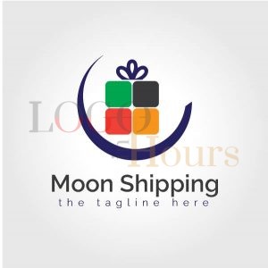 Drop Shipping logo | Graphic Design in Houston | LOGO IN HOURS